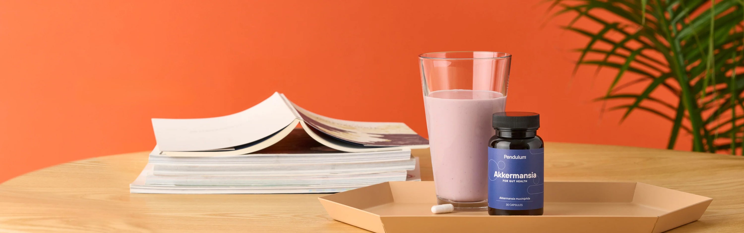 Pendulum Life NZ Akkermansia | Live Probiotic for Gut Health